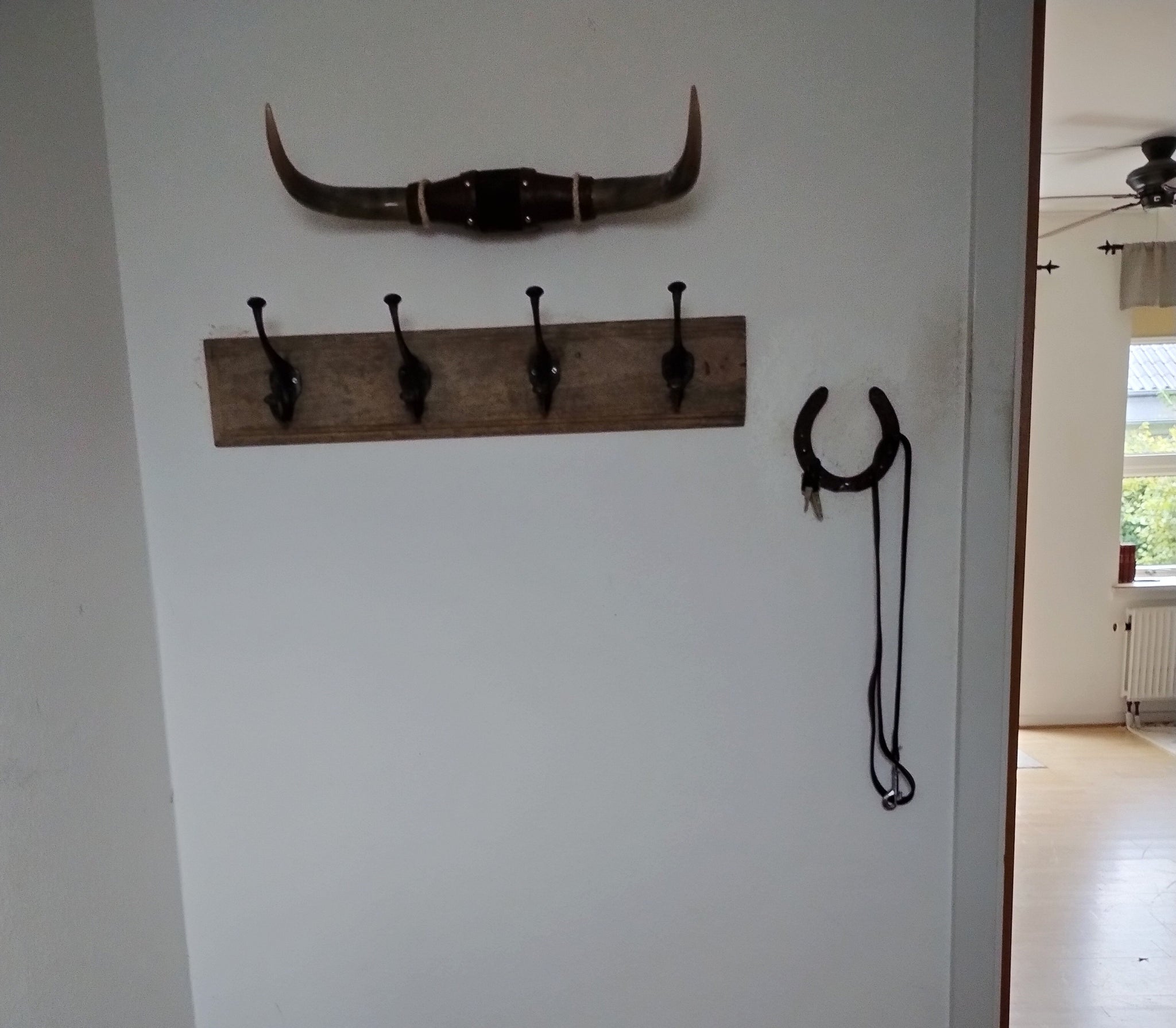 Polished Steer Bull Longhorn Cow Mounted Art Home Decor Truck South ...