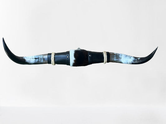 Jefes Horns - Polished Steer Horns, Longhorns, and Skulls